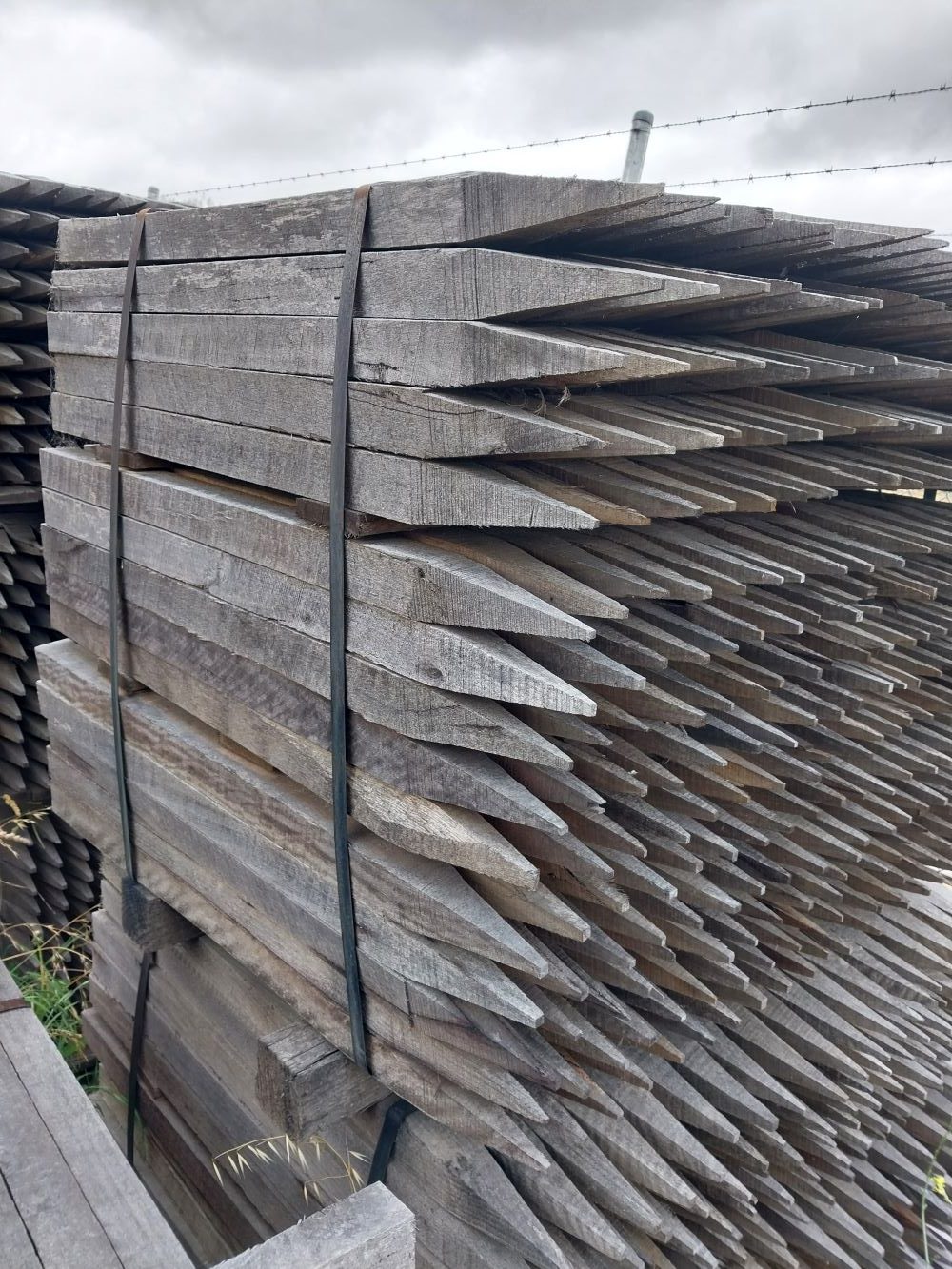 Pointed Tree Pegs - 50x50mm 1.8m long Pick up - Firewood Marketplace