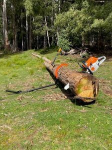 TAZZY DEVIL LOG LIFTER - Firewood Marketplace - Sales and Delivery